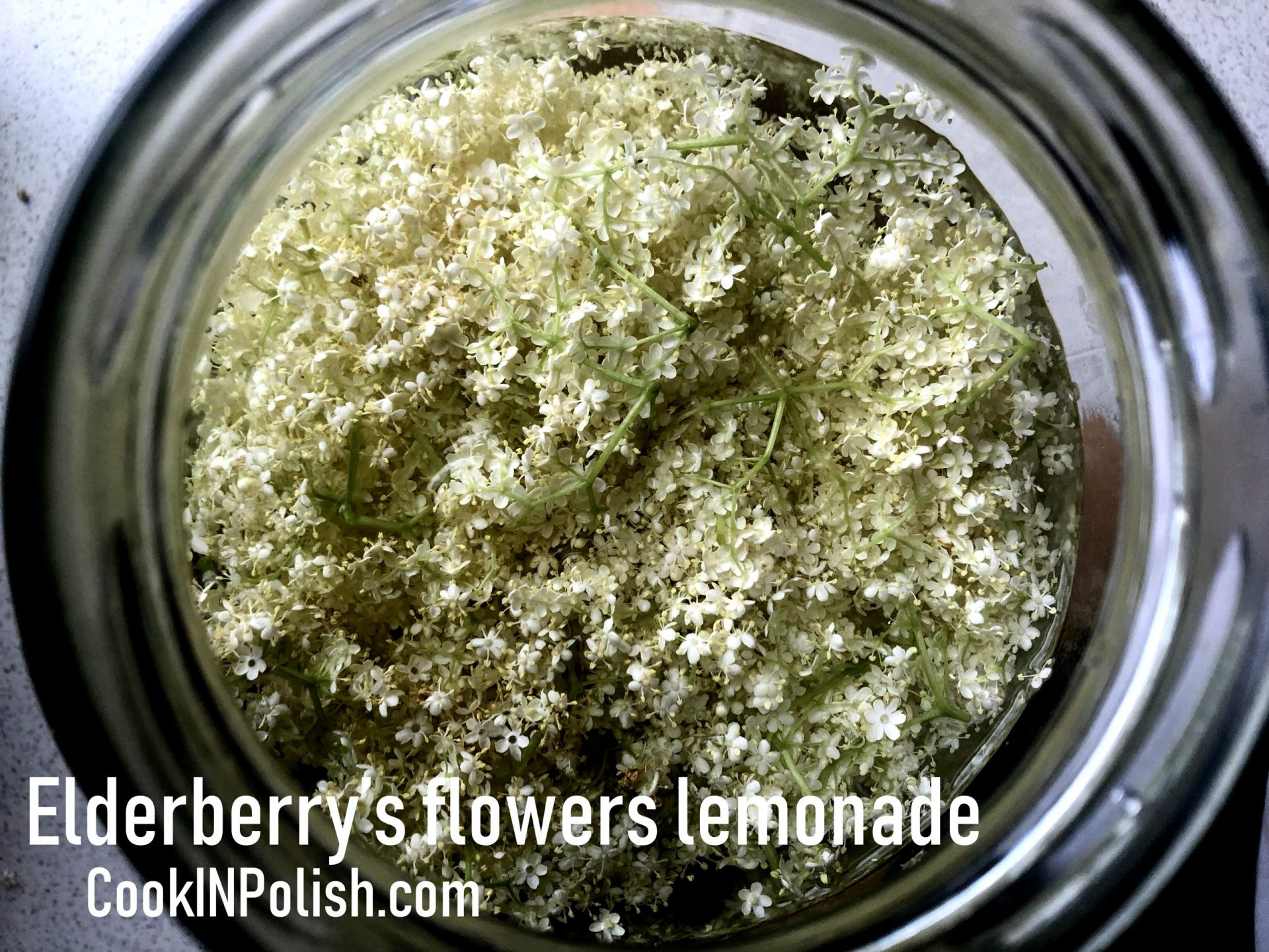 Elderberry Fermented Lemonade - CookINPolish – Polish Food Recipes
