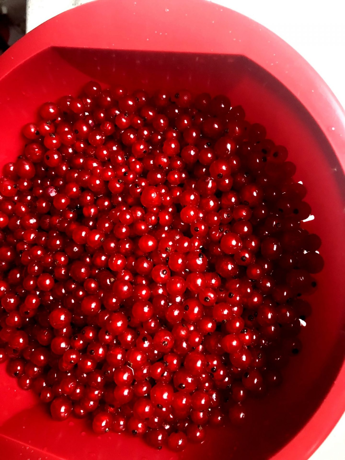 Polish Redcurrant Kompot - CookINPolish – Polish Food Recipes