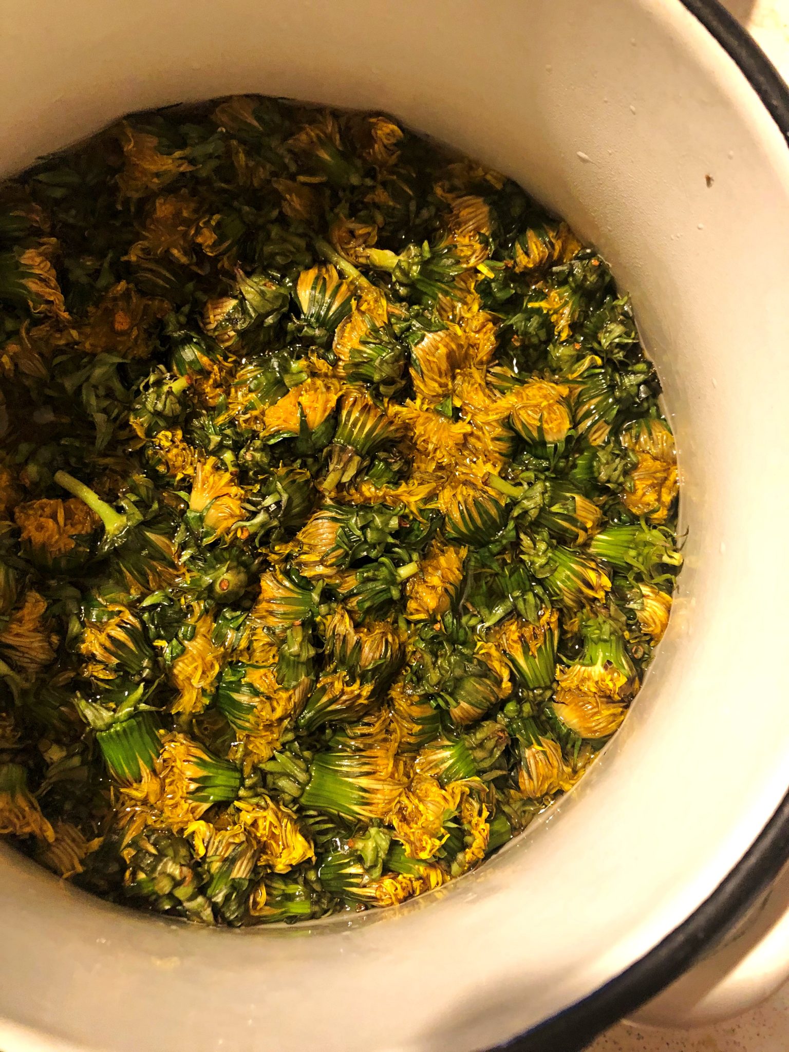 Dandelion Syrup - CookINPolish – Polish Food Recipes