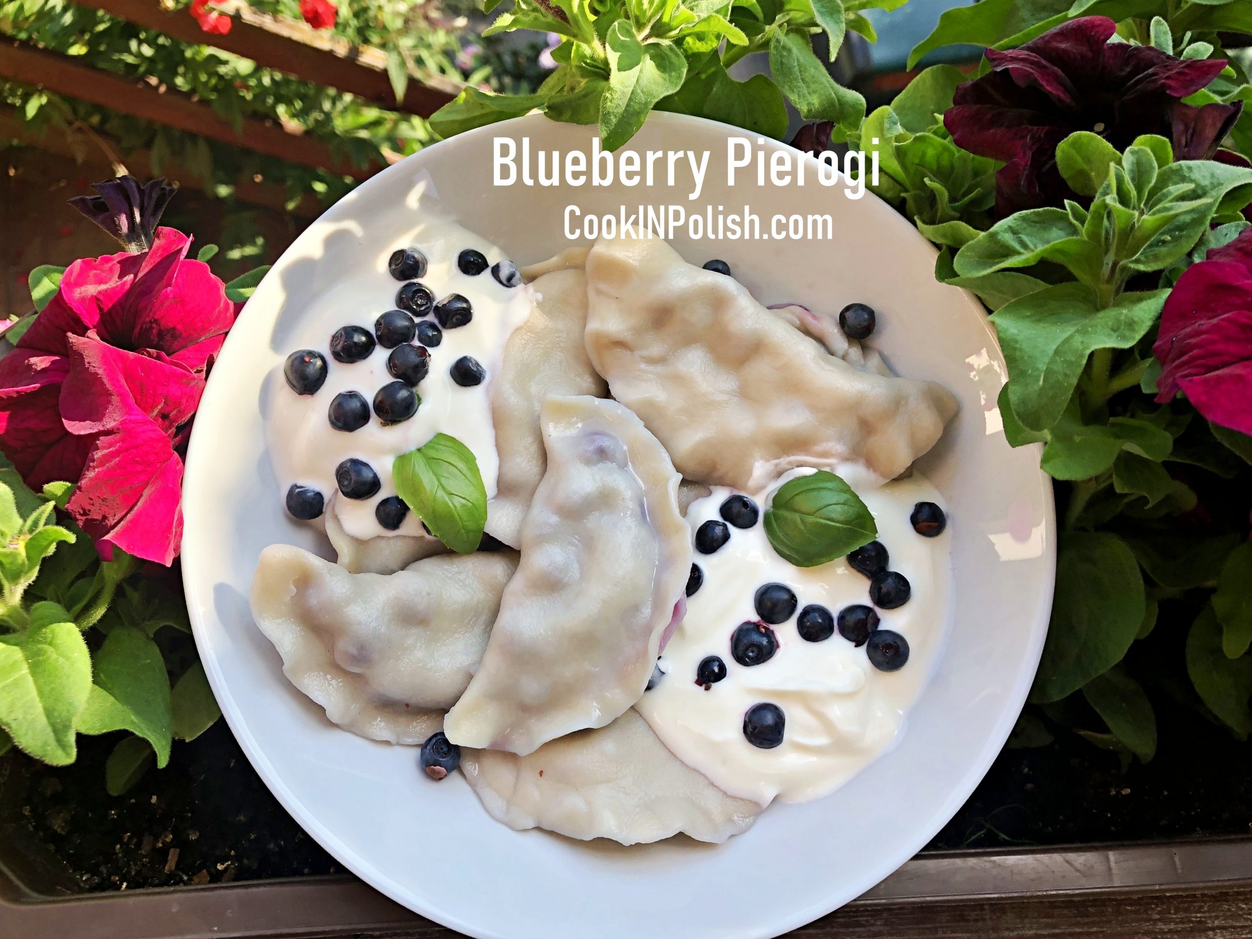 Blueberry Pierogi - CookINPolish – Polish Food Recipes