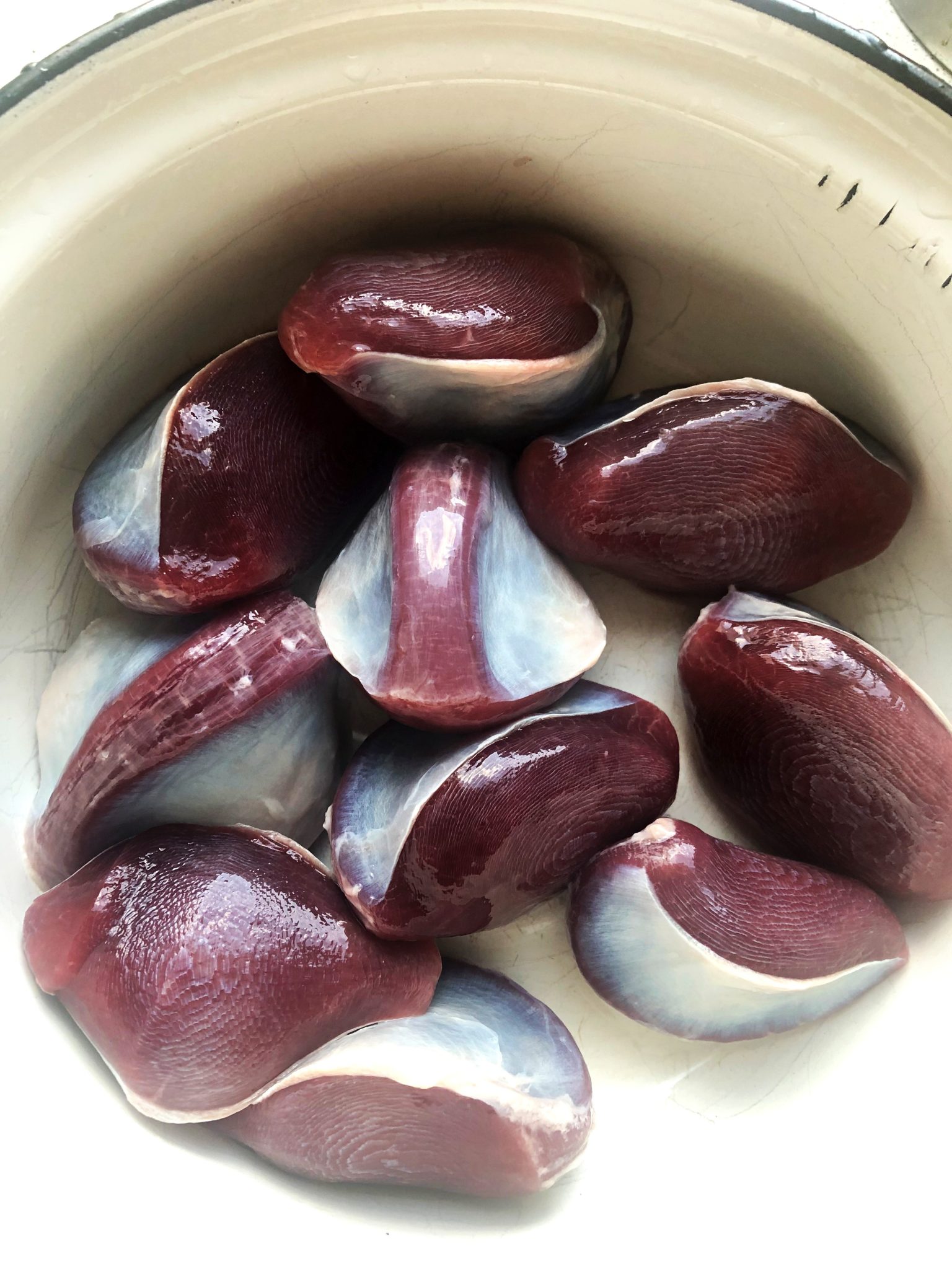 Goose Gizzards - Gęsie Pipki - CookINPolish – Polish Food Recipes