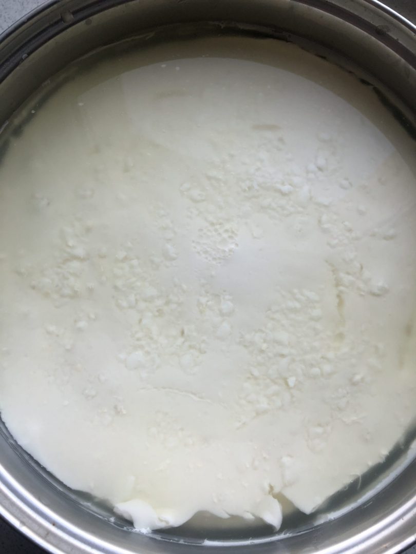 Homemade Rennet Cheese - CookINPolish – Polish Food Recipes