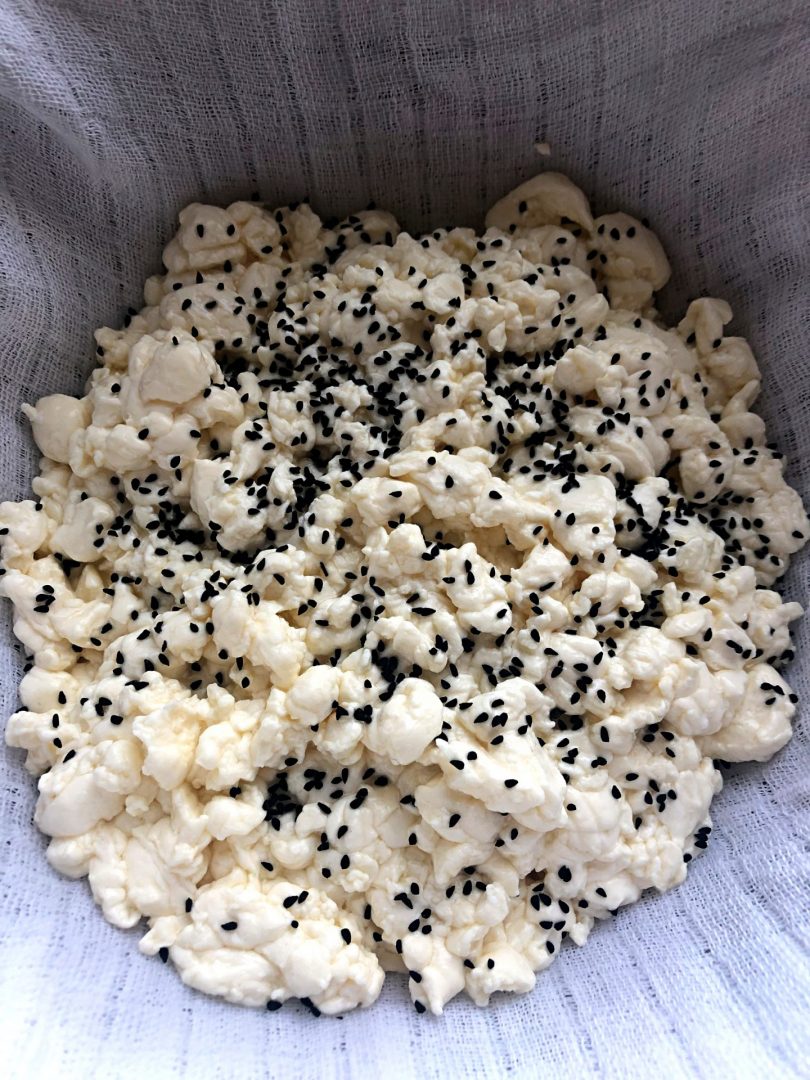 Homemade Rennet Cheese - CookINPolish – Polish Food Recipes