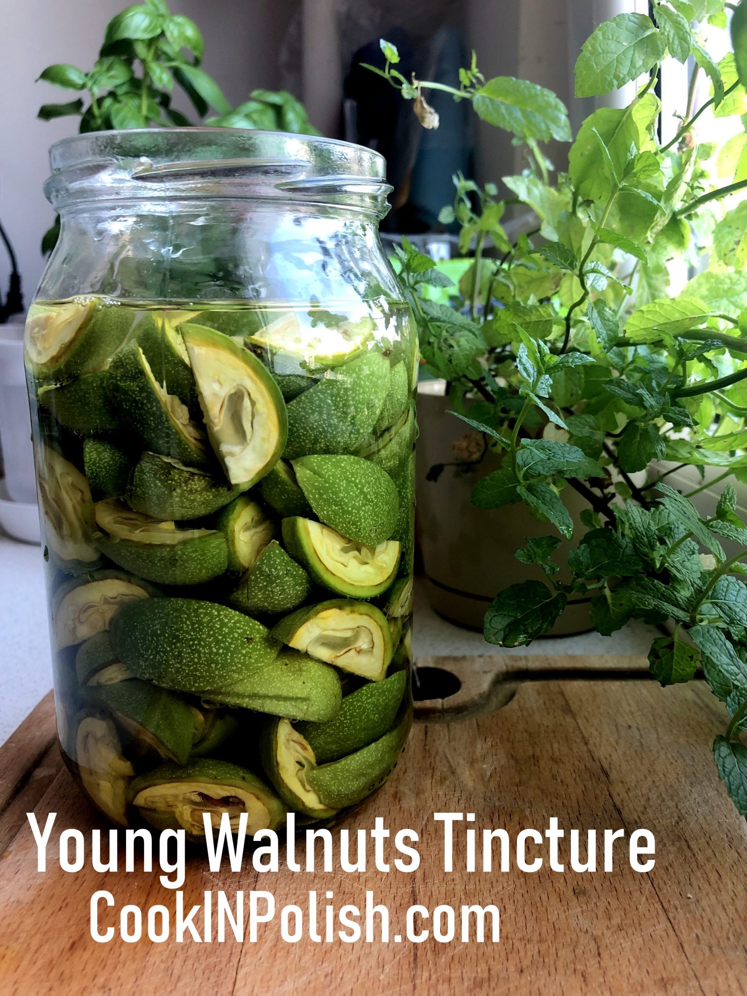 Young Walnuts Tincture - CookINPolish – Polish Food Recipes