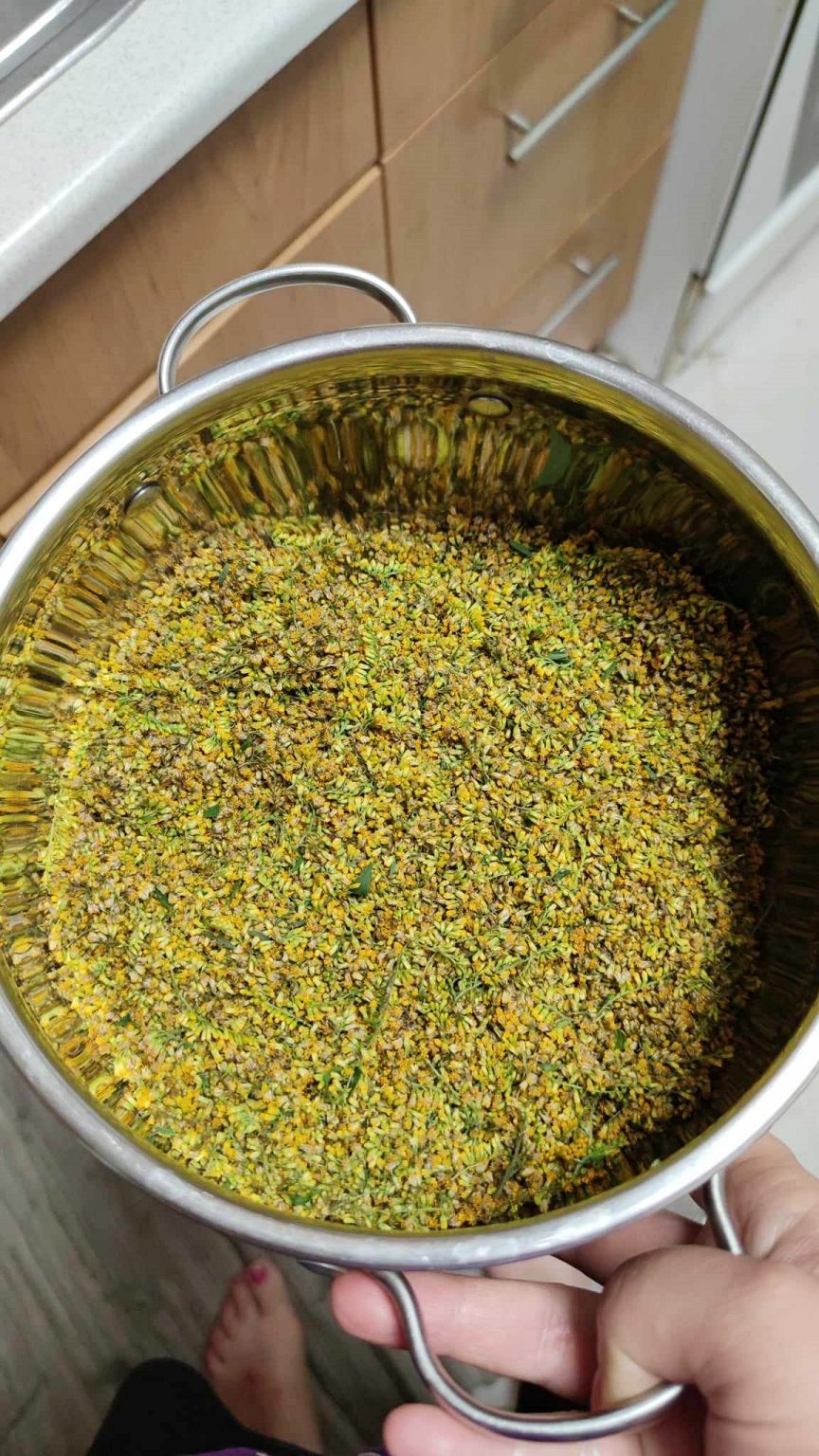 Goldenrod Syrup - CookINPolish – Polish Food Recipes