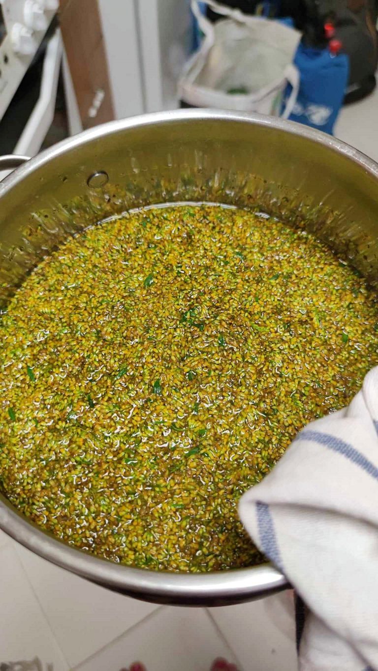 Goldenrod Syrup - CookINPolish – Polish Food Recipes