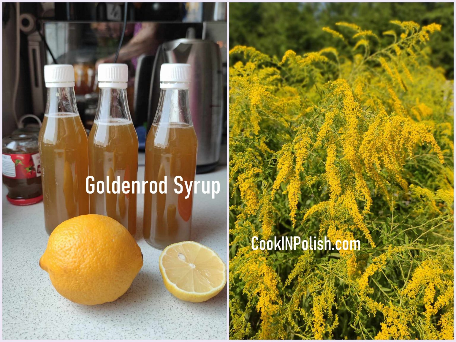 Goldenrod Syrup - CookINPolish – Polish Food Recipes
