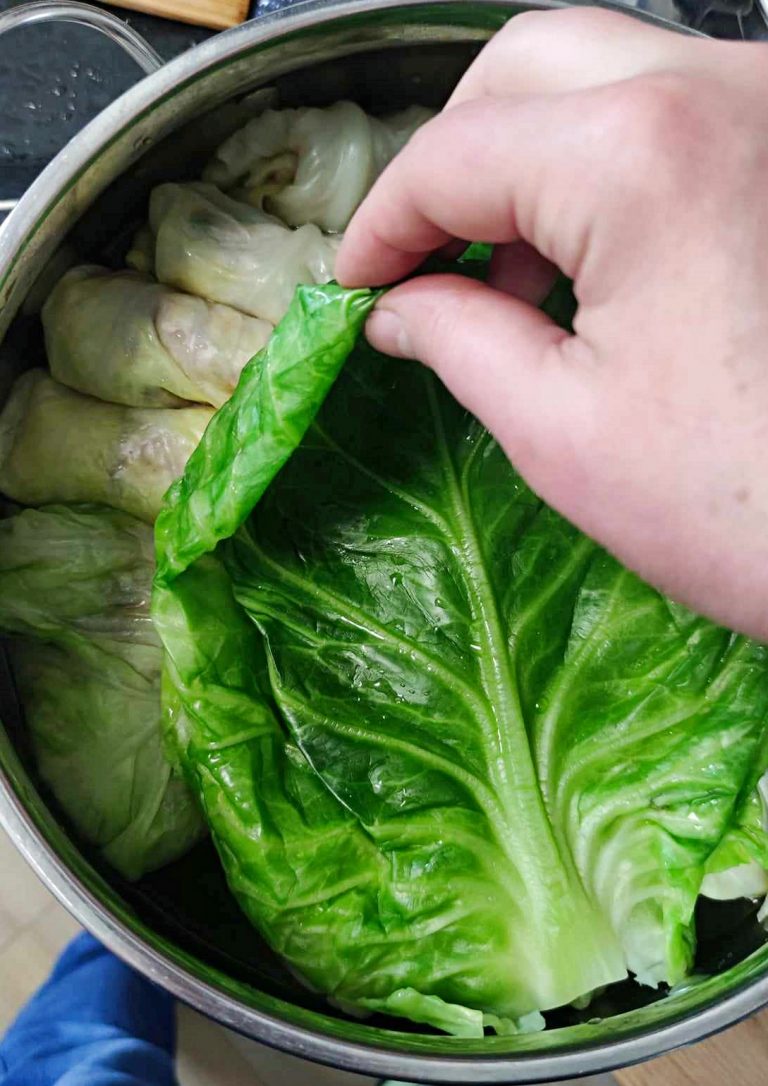 Young Cabbage Gołąbki - CookINPolish – Polish Food Recipes