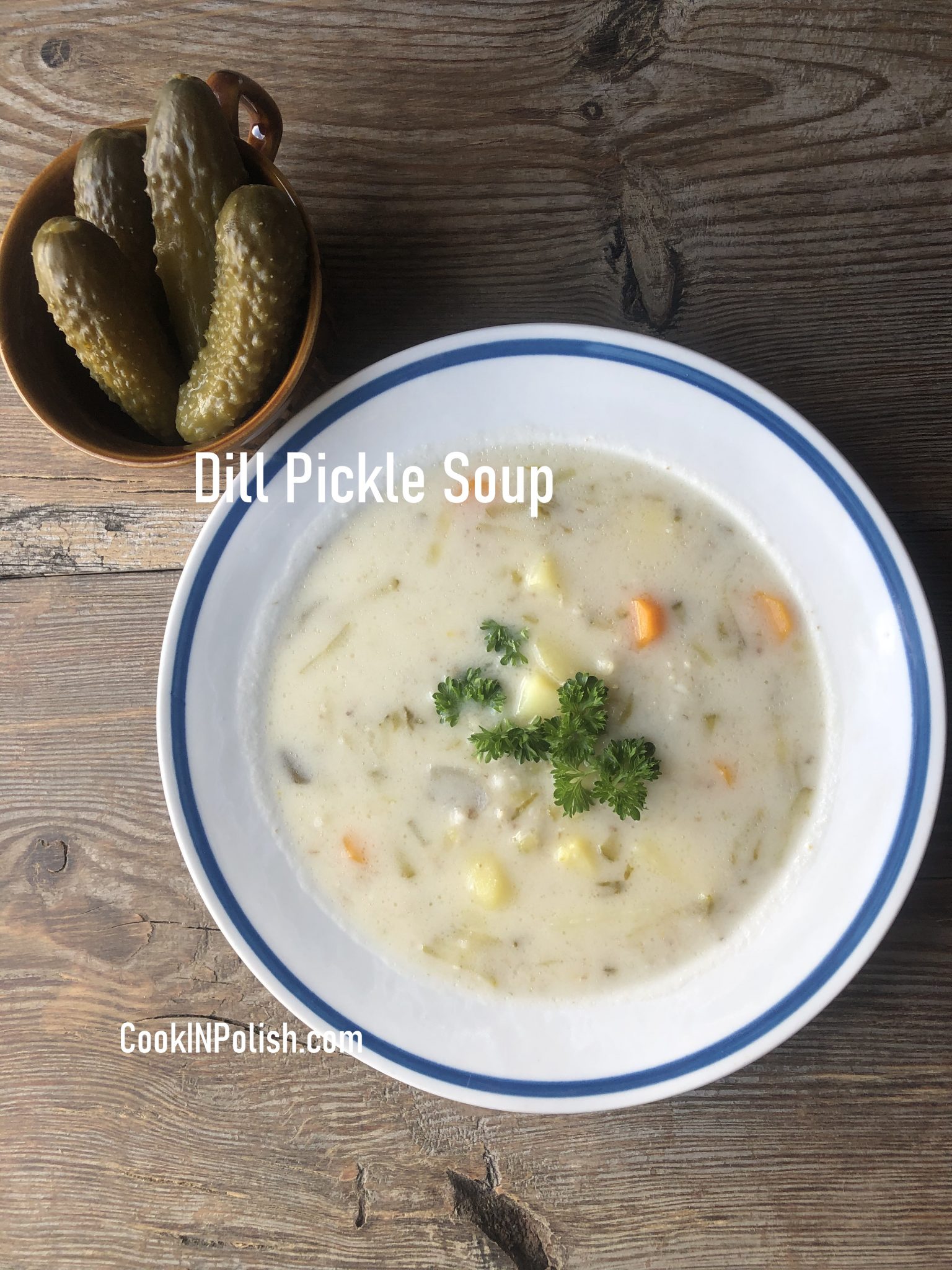 10 Traditional Polish Soups - CookINPolish – Polish Food Recipes